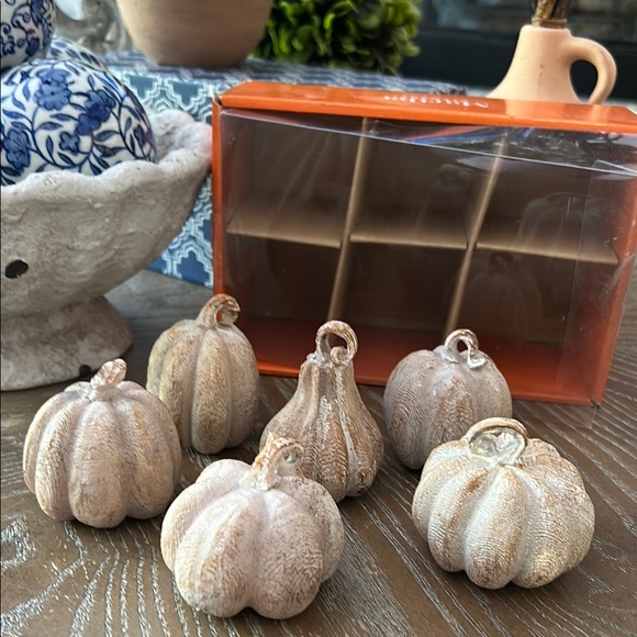 Accents | New Set Of 6 Miniature Fall Cream Tan Autumn Harvest Resin ...